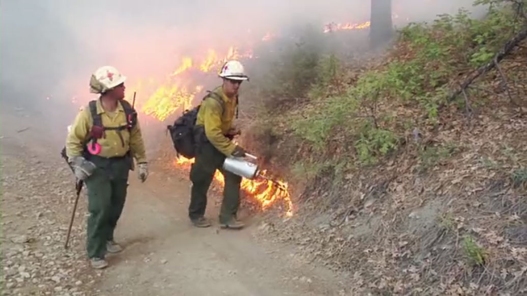 The basics of defensible space and the “home ignition zone” | America's ...
